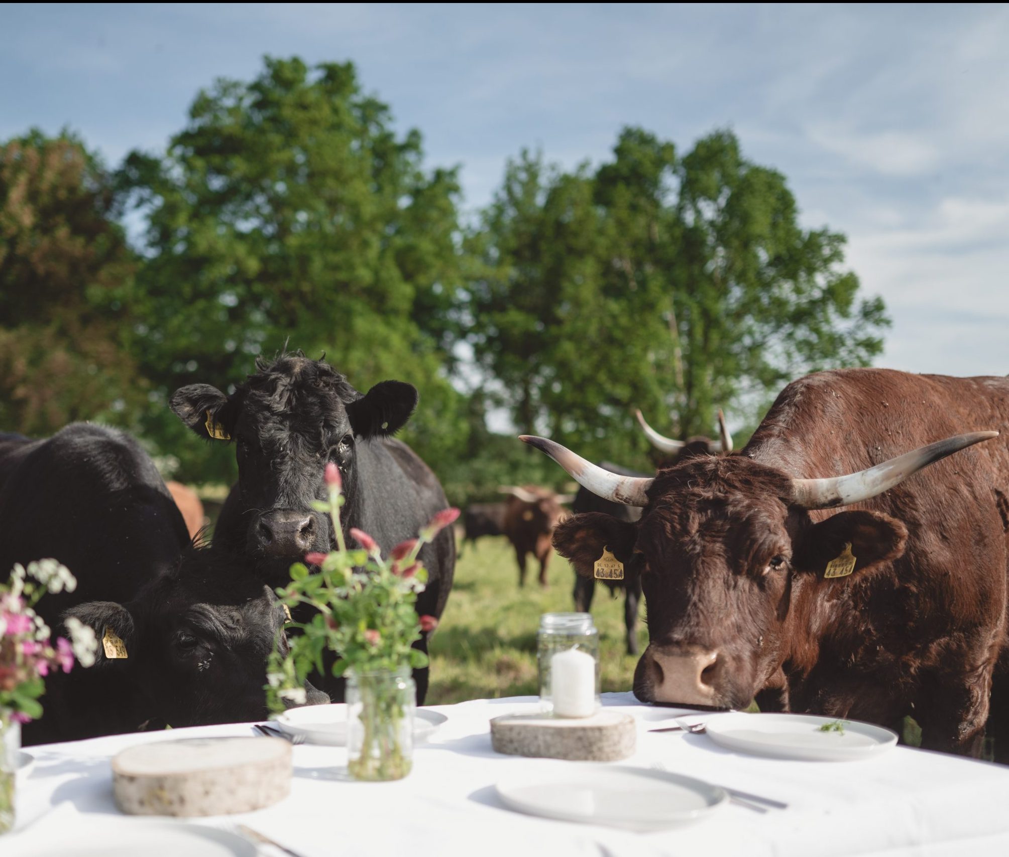 Angebote – Gut&Boesel