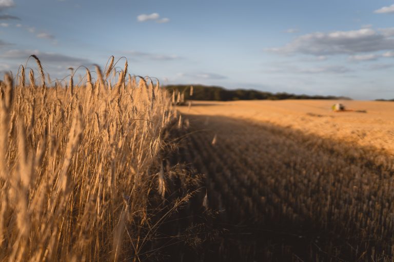 Ackerbau – Gut&Boesel